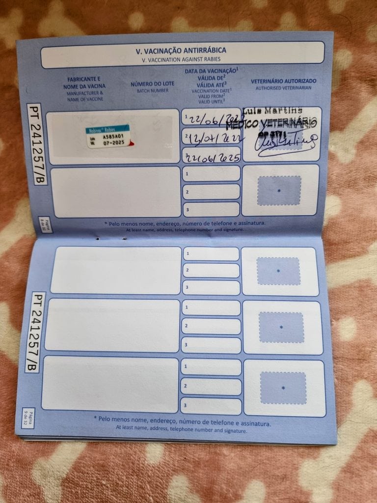 Pet Travel to the UK: Essential Guide for a Smooth Journey - Barks and ...