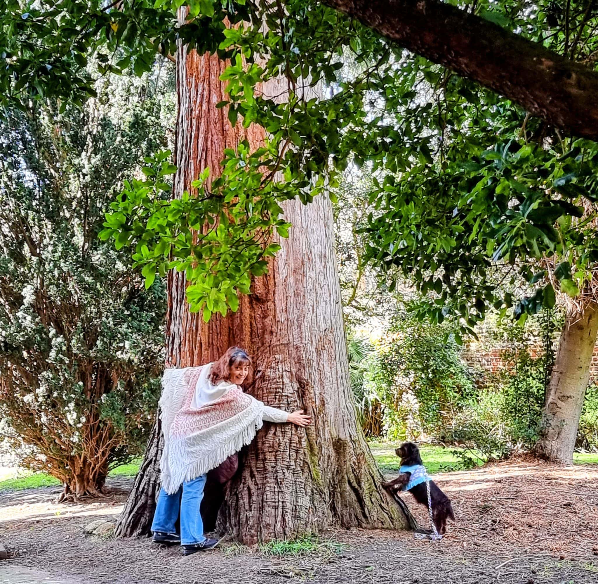 Barks and Life Sparks - where every bark tells a story and every life ...