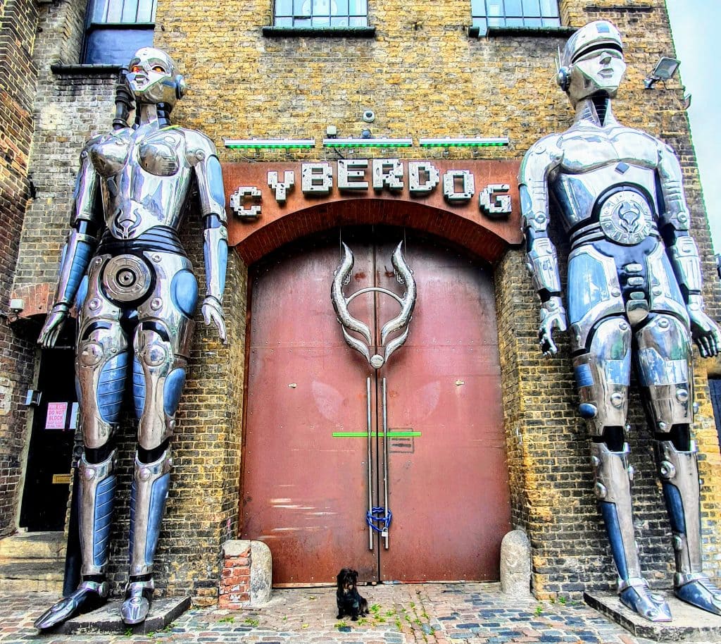 The Best Pet-Friendly Places in Camden for Solo Trips - Barks and Life ...